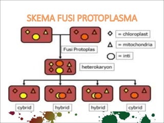 Biologi fusi protoplasma | PPTX