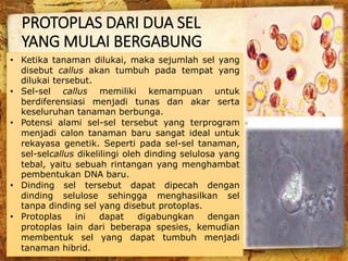 Biologi fusi protoplasma | PPTX