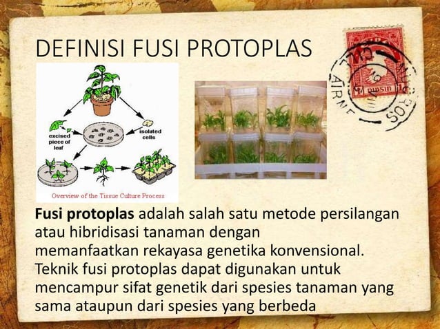 Biologi fusi protoplasma | PPTX
