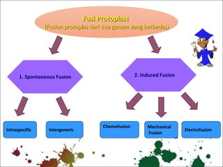 Biologi fusi protoplasma | PPTX