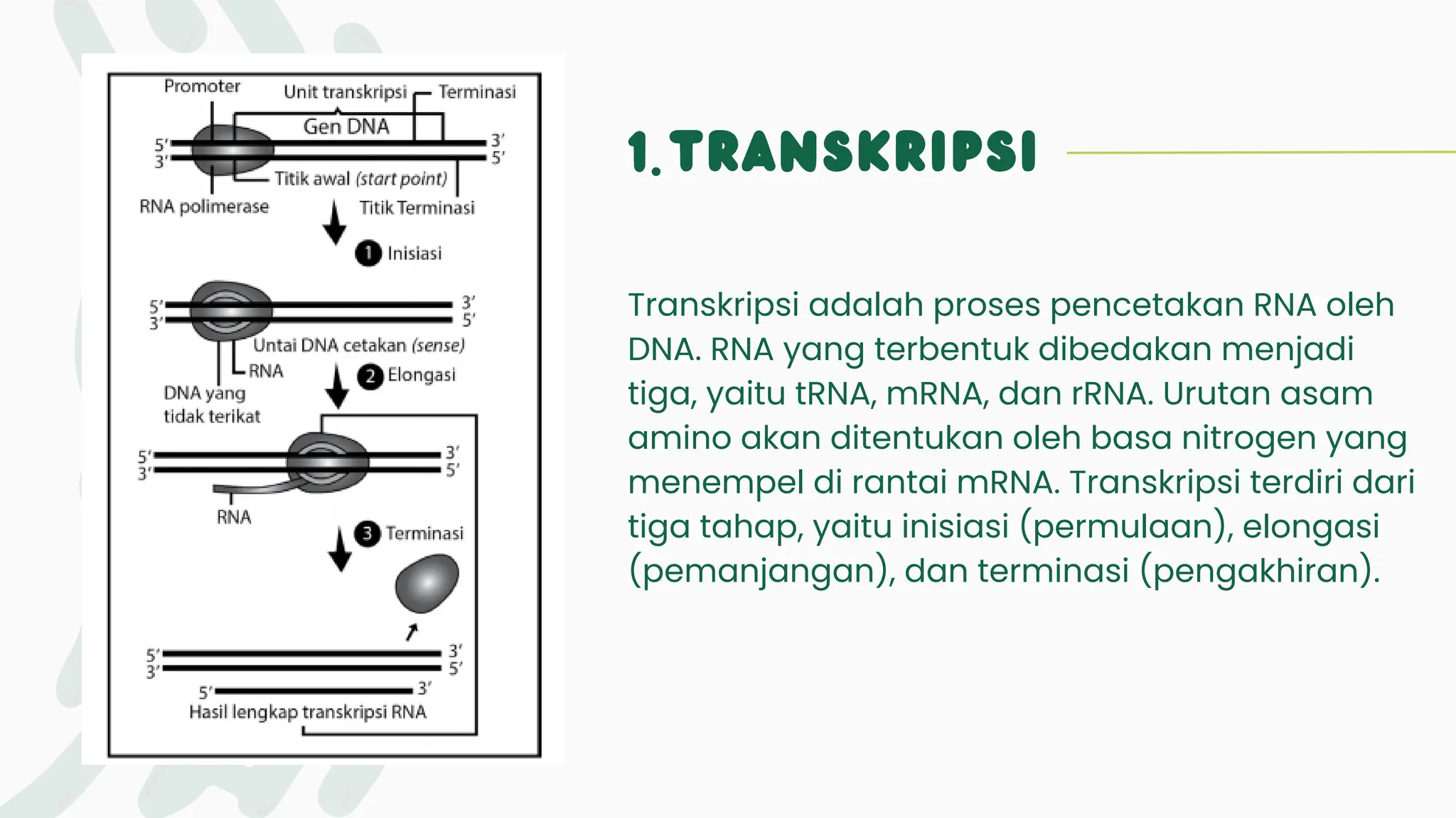 biologi genetik klp 3.pdf