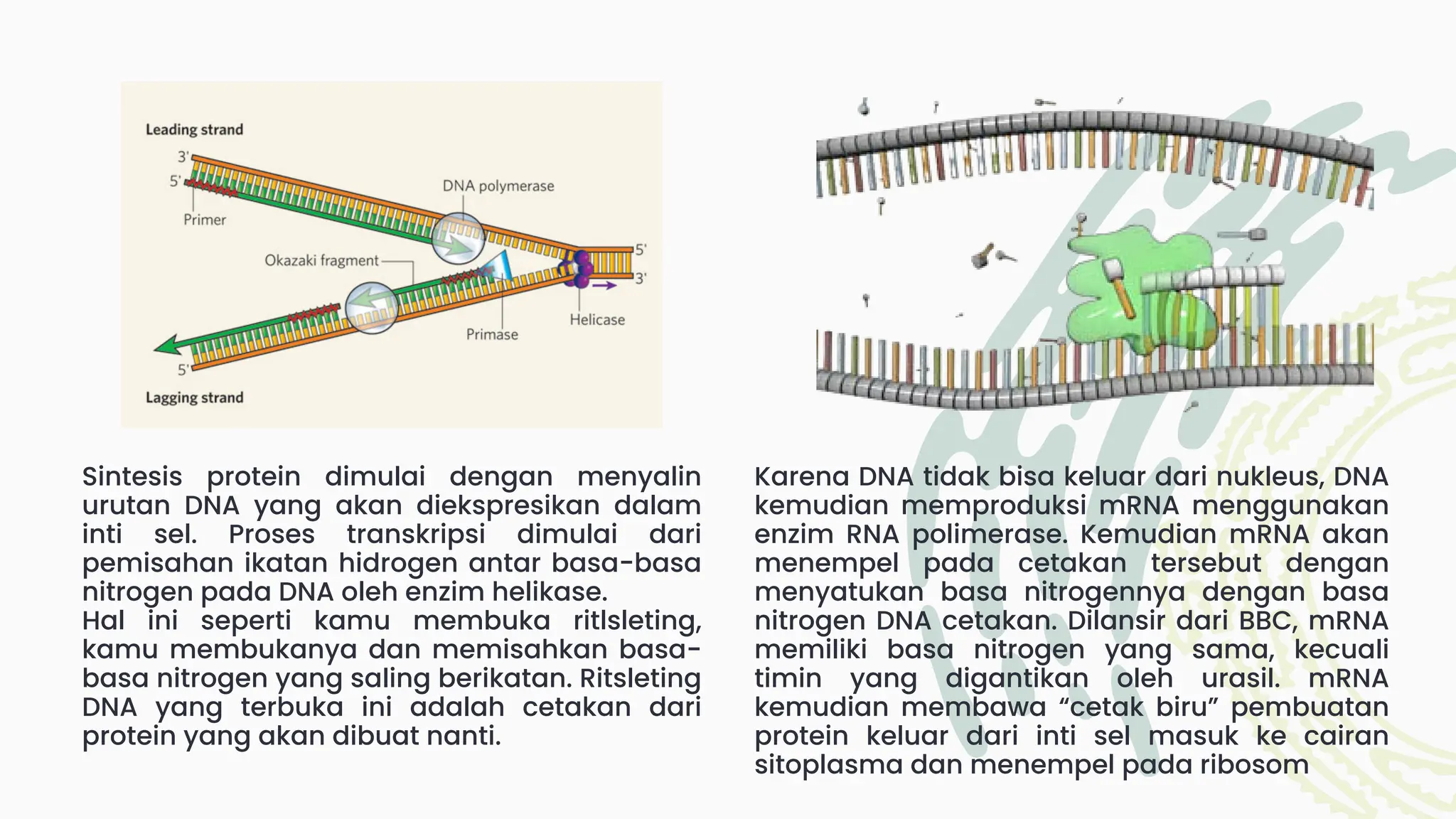 biologi genetik klp 3.pdf