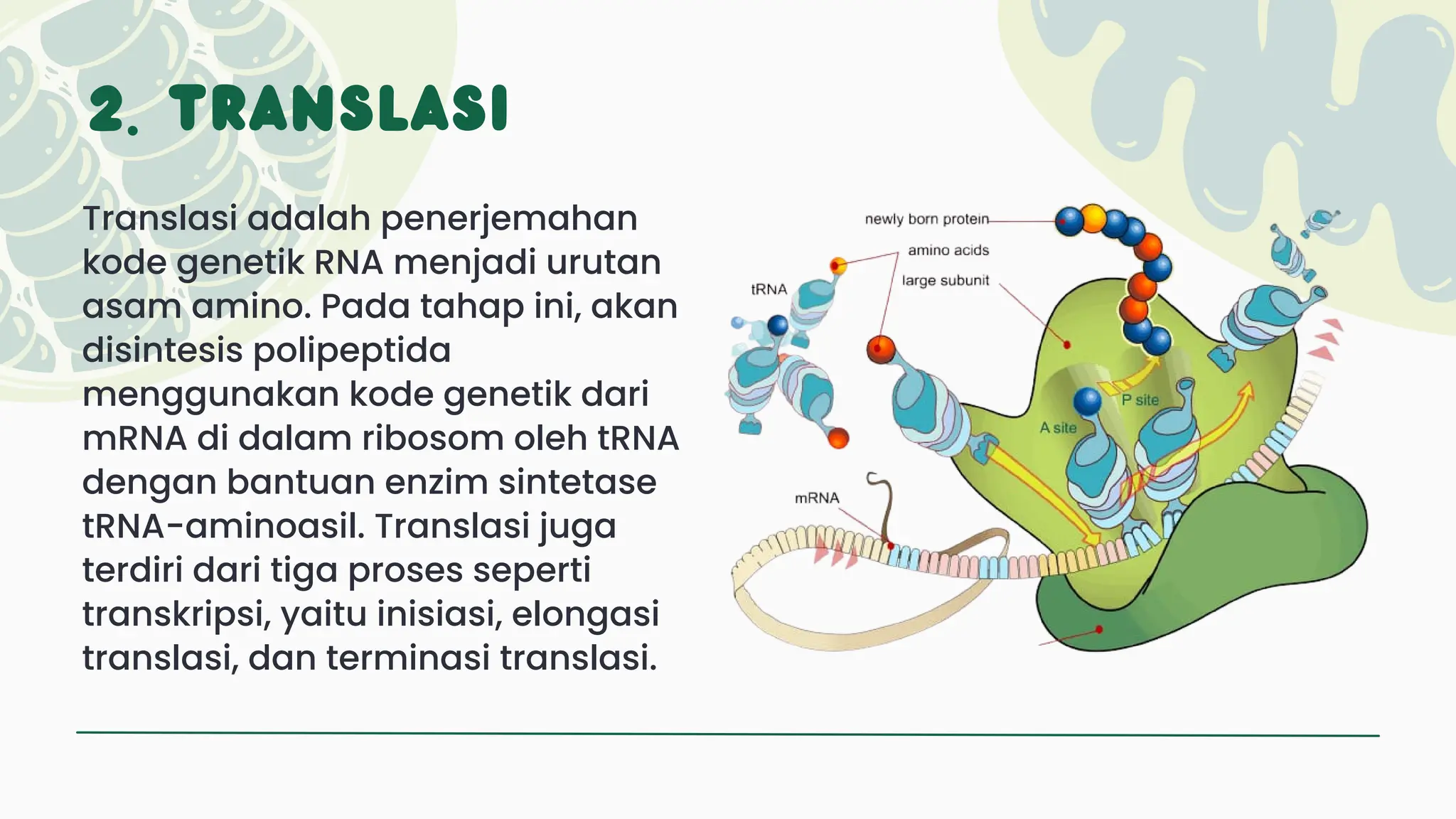 biologi genetik klp 3.pdf