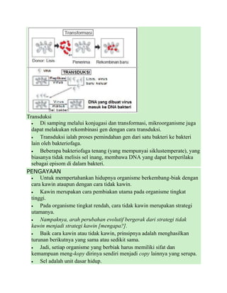 Biologi gonzaga | DOCX