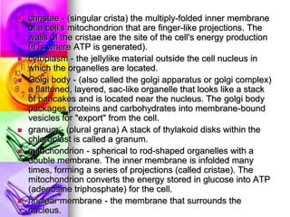Biologi grade7 | PPT