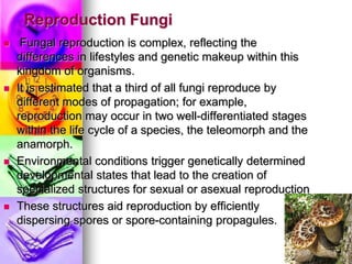 Biologi grade7 | PPT