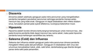 Biologi hidung | PPT