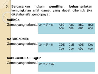 hukum mendel | PPTX