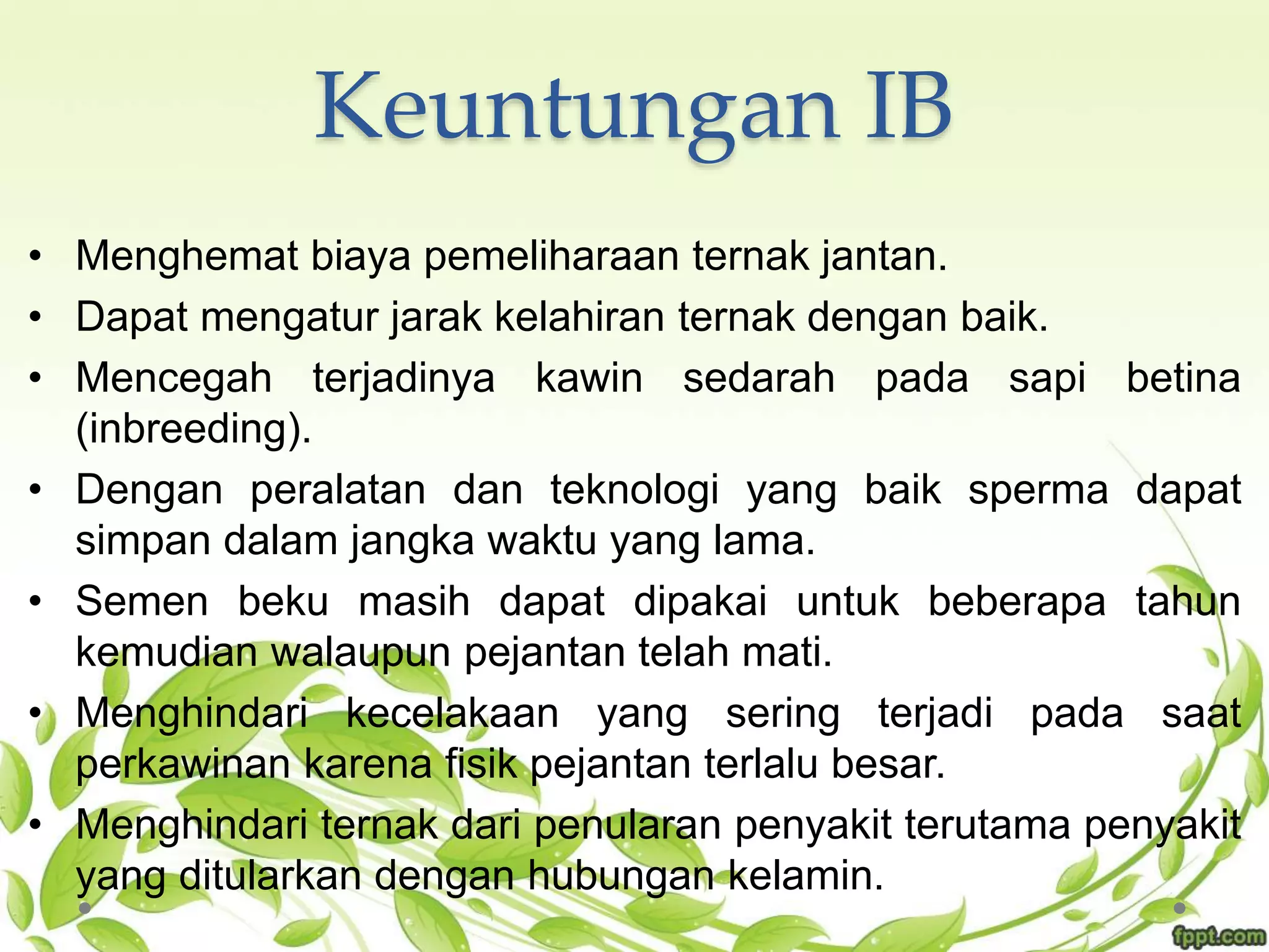 Biologi (Inseminasi Buatan Pada Sapi) | PPTX