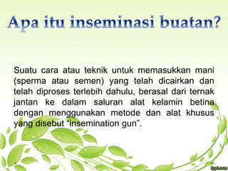 Biologi (Inseminasi Buatan Pada Sapi) | PPTX