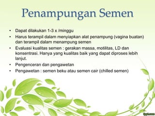Biologi (Inseminasi Buatan Pada Sapi) | PPTX