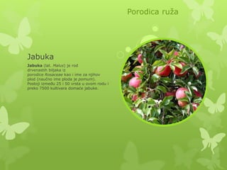 Biologija | PPTX