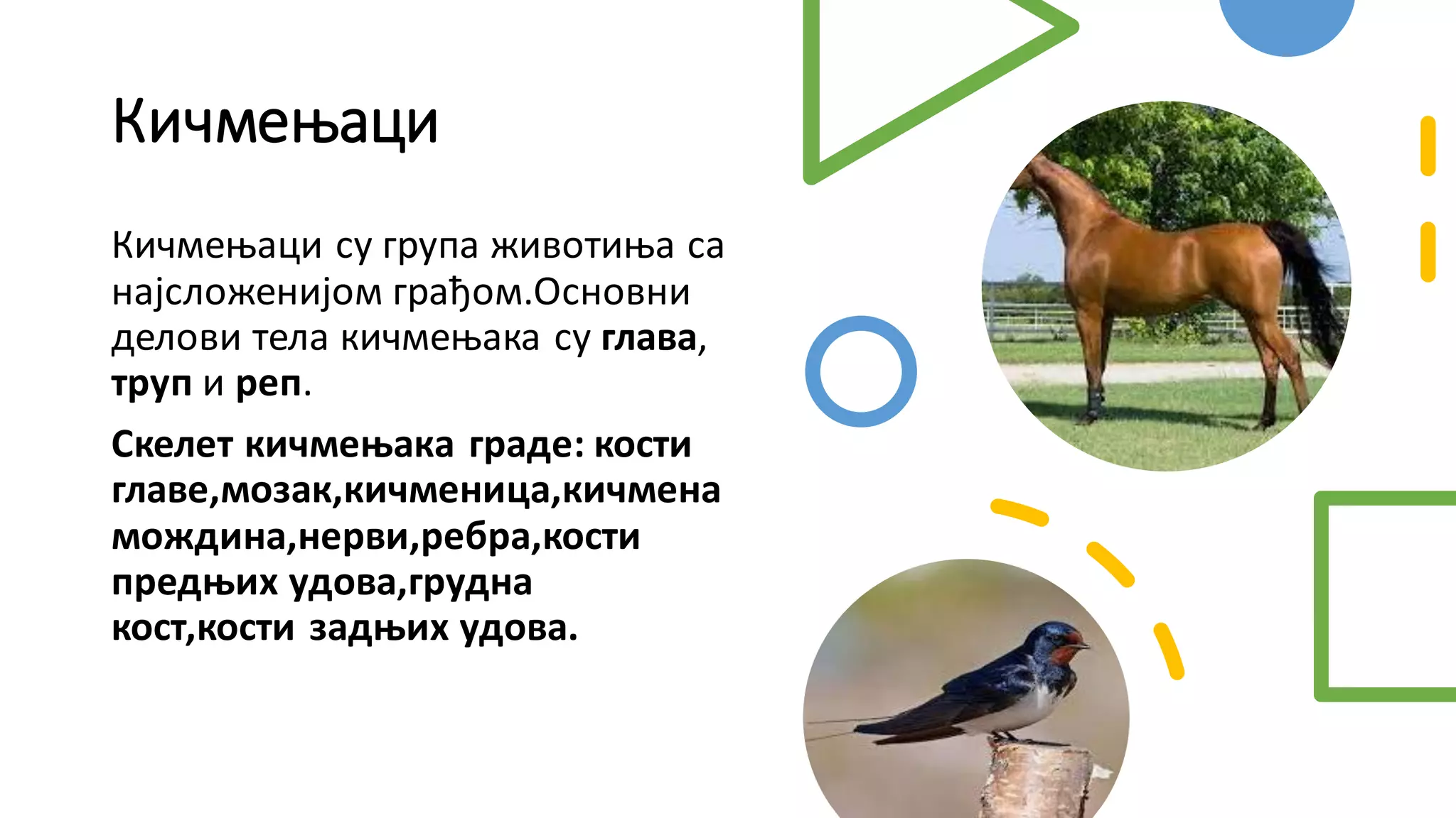 Biologija | PDF
