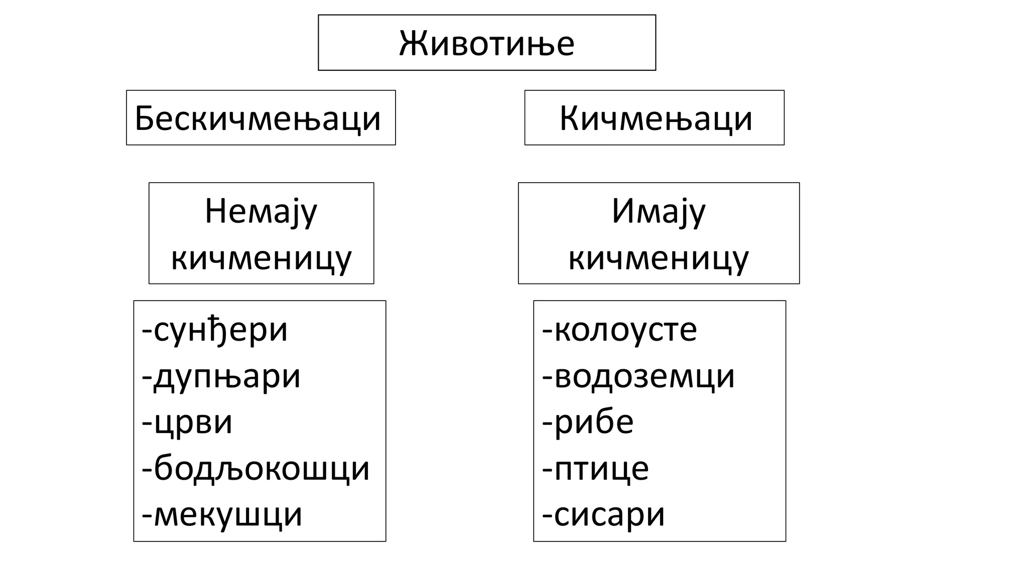 Biologija | PDF