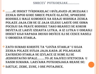 Biologija cetinrske sume | PPT