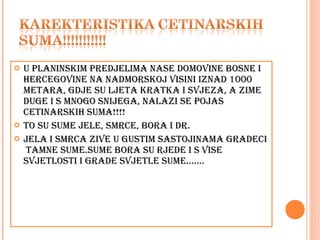 Biologija cetinrske sume | PPT