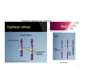 Biologija utvrdjivanje gradiva | PPTX