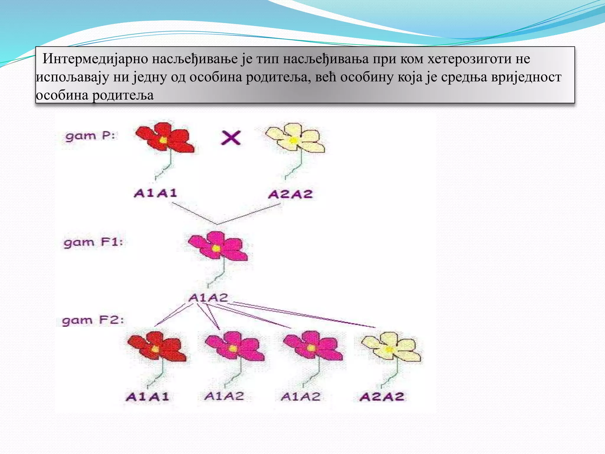 Mutageni faktori sredine | PPTX