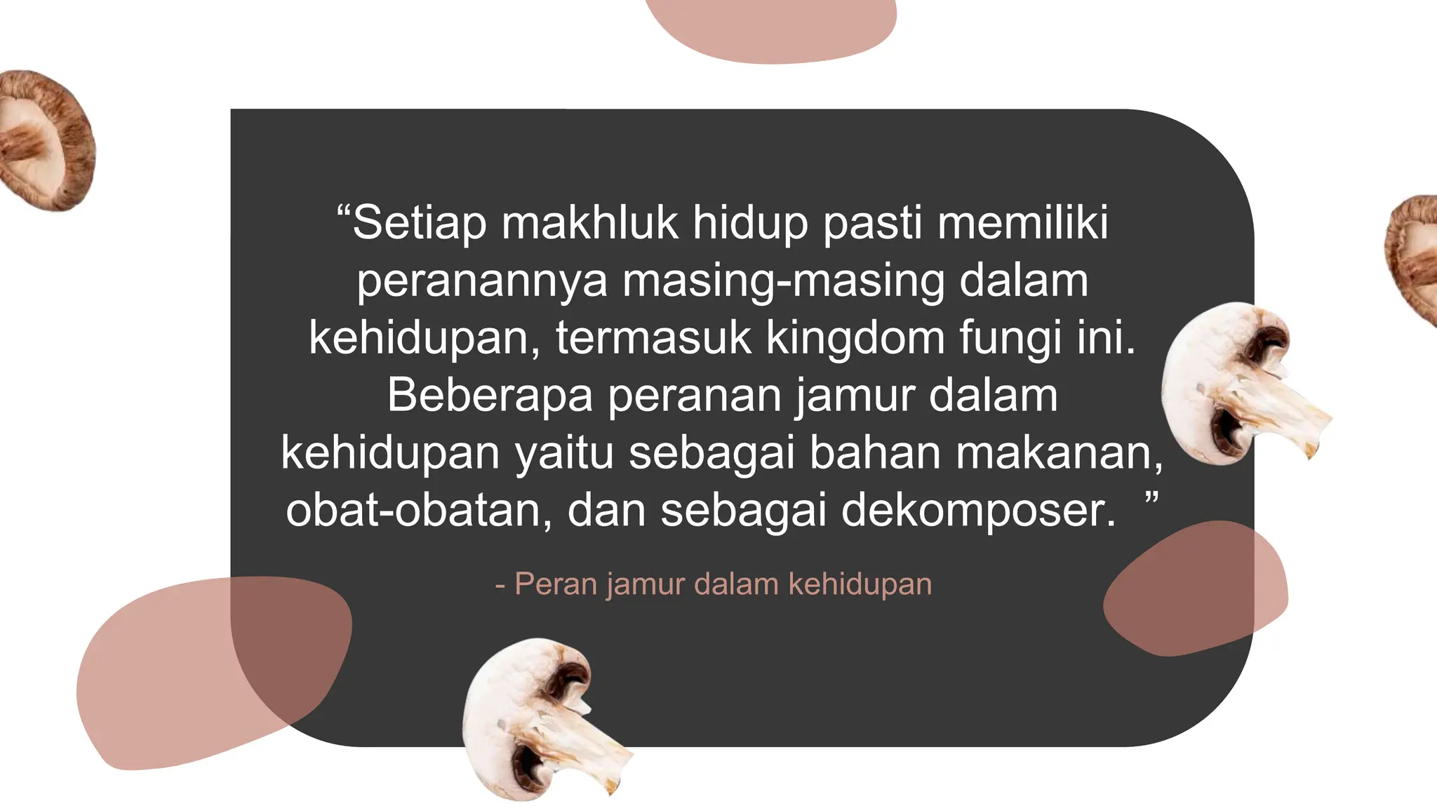 Biologi jamur : klasifikasi, karakter, dan fungsi jamur. istik, .pptx