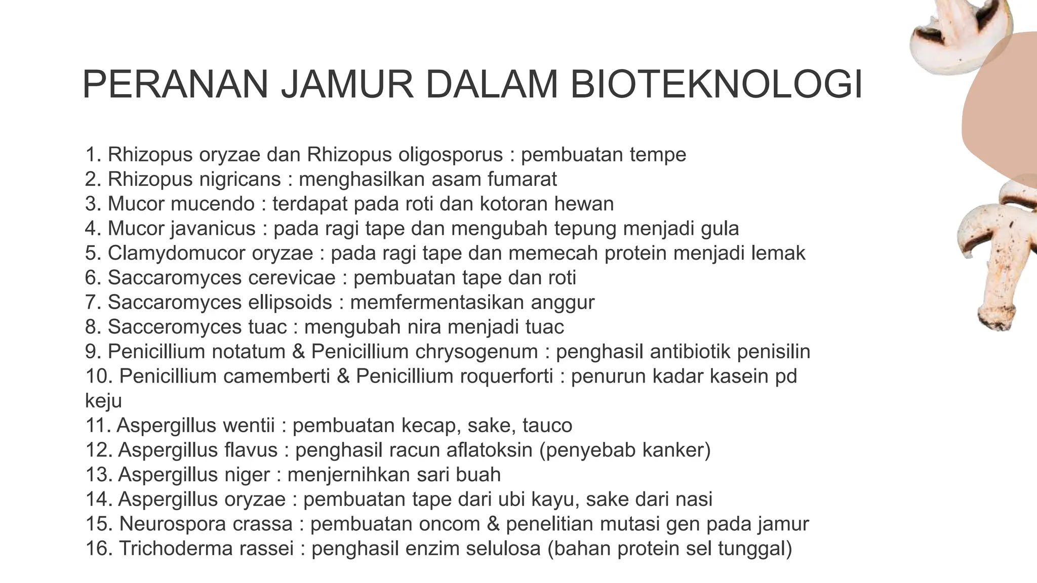 Biologi jamur : klasifikasi, karakter, dan fungsi jamur. istik, .pptx