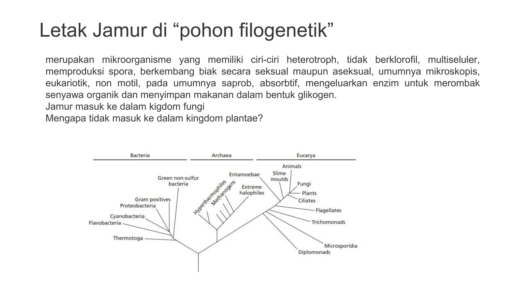 Biologi jamur : klasifikasi, karakter, dan fungsi jamur. istik, .pptx