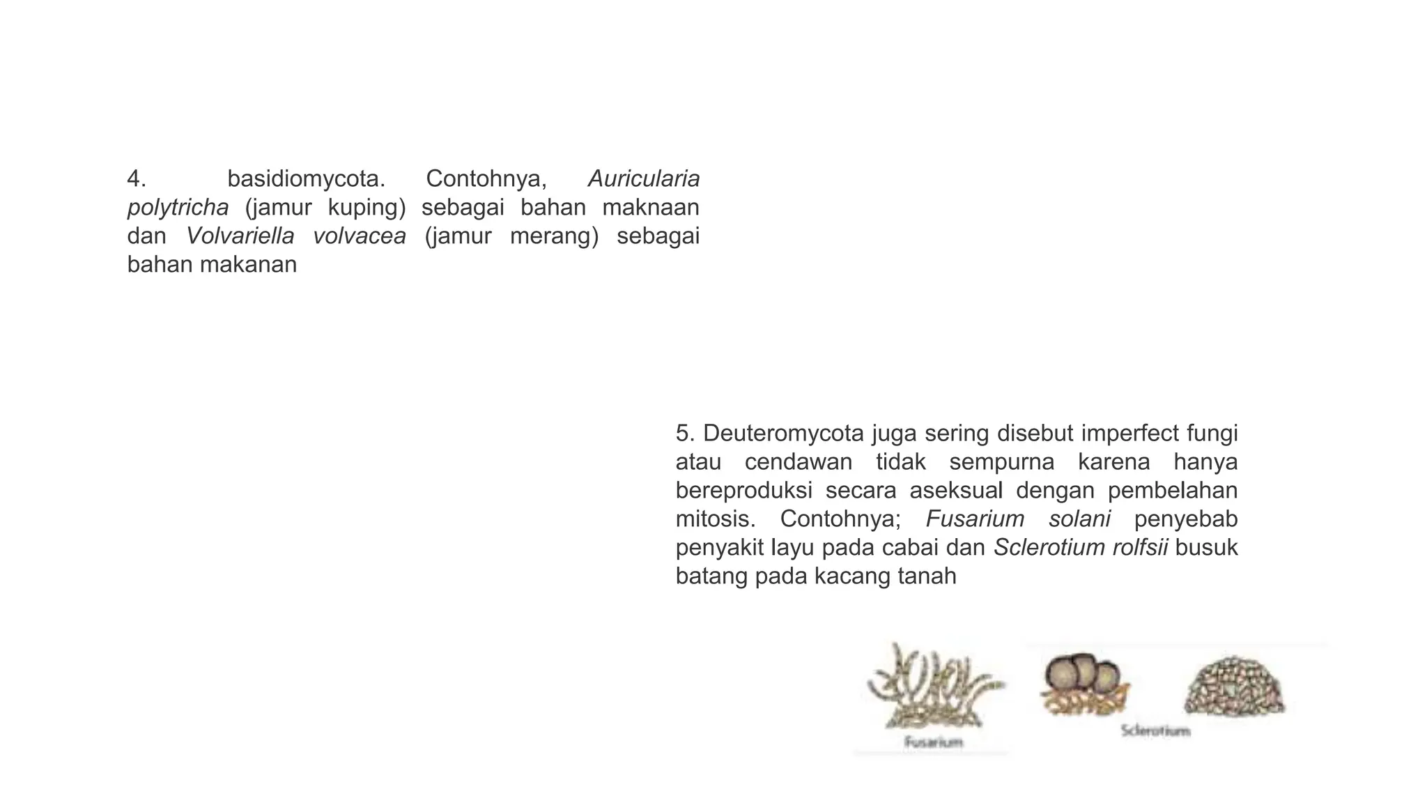 Biologi jamur : klasifikasi, karakter, dan fungsi jamur. istik, .pptx
