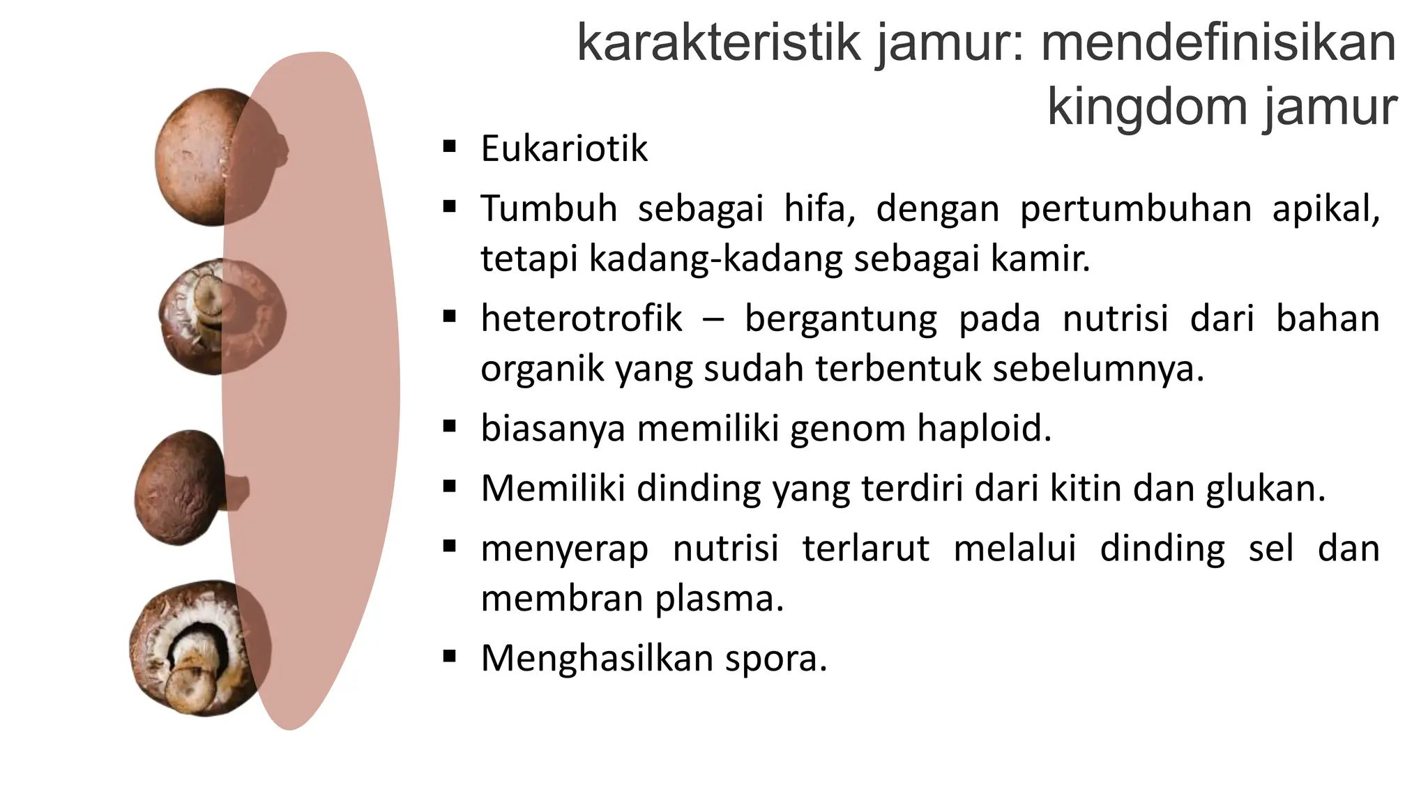 Biologi jamur : klasifikasi, karakter, dan fungsi jamur. istik, .pptx