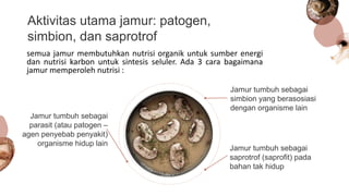 Biologi jamur : klasifikasi, karakter, dan fungsi jamur. istik, .pptx
