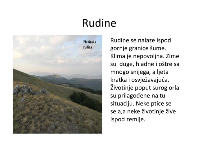 Kopneni (suvozemni) ekosistemi - osnovne odlike.pptx