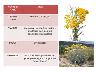 Biologija, primorske ljekovite biljke | PPT
