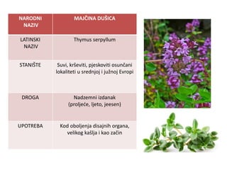 Biologija, primorske ljekovite biljke | PPT