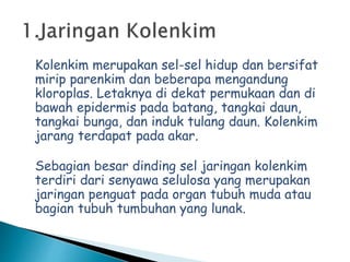 Biologi jaringan penyokong | PPTX