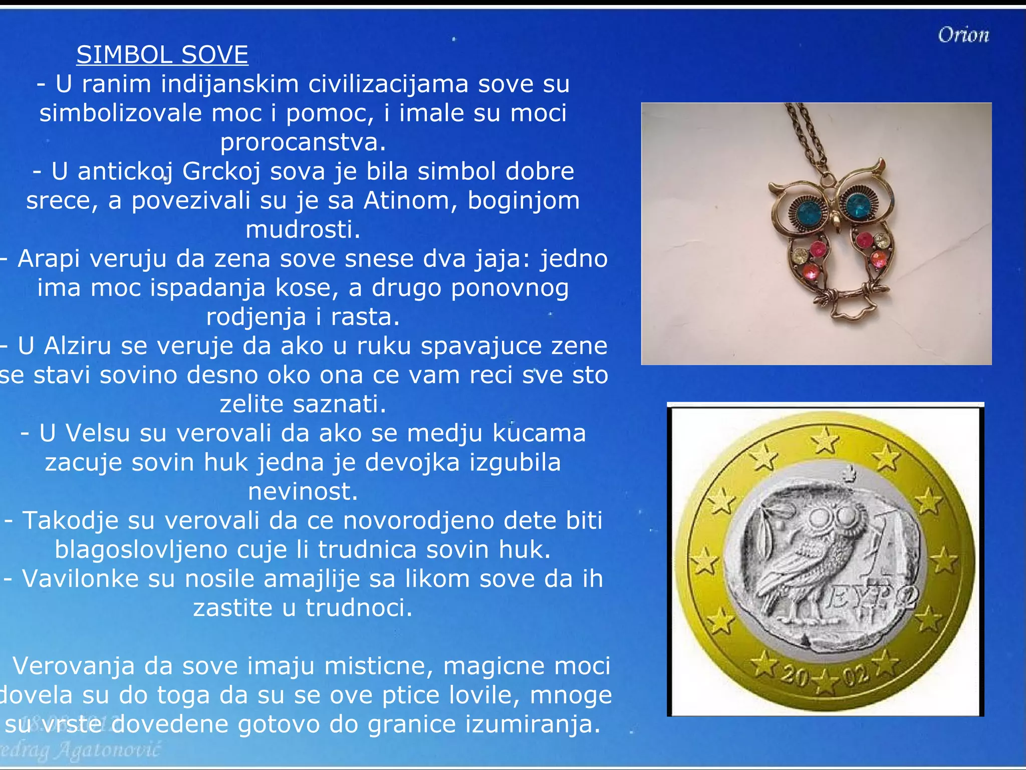 Biologija, Sove | PPT