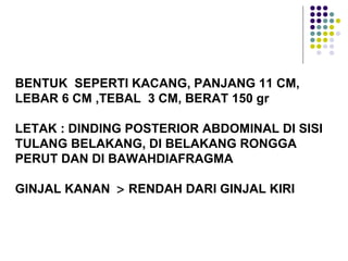 Biologi kedokteran sistem urinaria | PPT