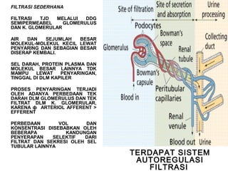 Biologi kedokteran sistem urinaria | PPT