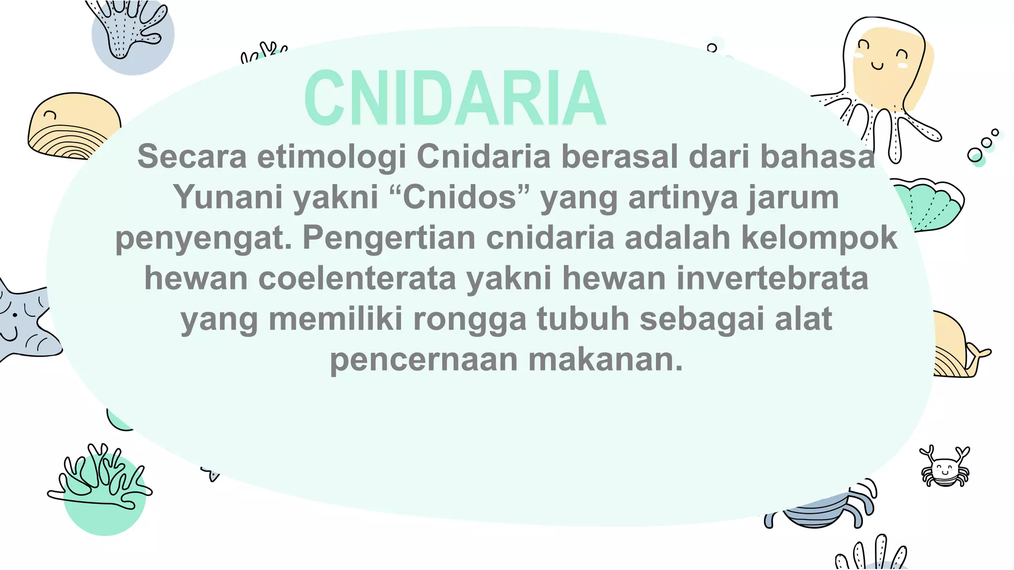 BIOLOGI PORIFERA & CNIDARIA | PPTX