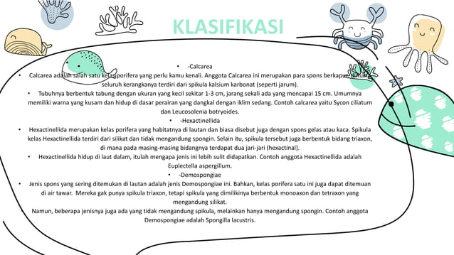 BIOLOGI PORIFERA & CNIDARIA | PPTX