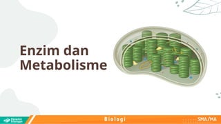 Biologi Kelas XII_Bab 1 Enzim SMA Kurtilas | PPTX
