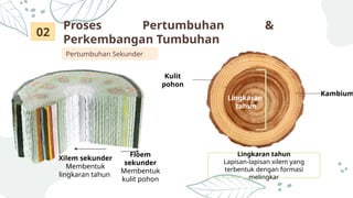 Biologi Kelas XII_Pertumbuhan dan Perkembangan Makhluk Hidup.pptx