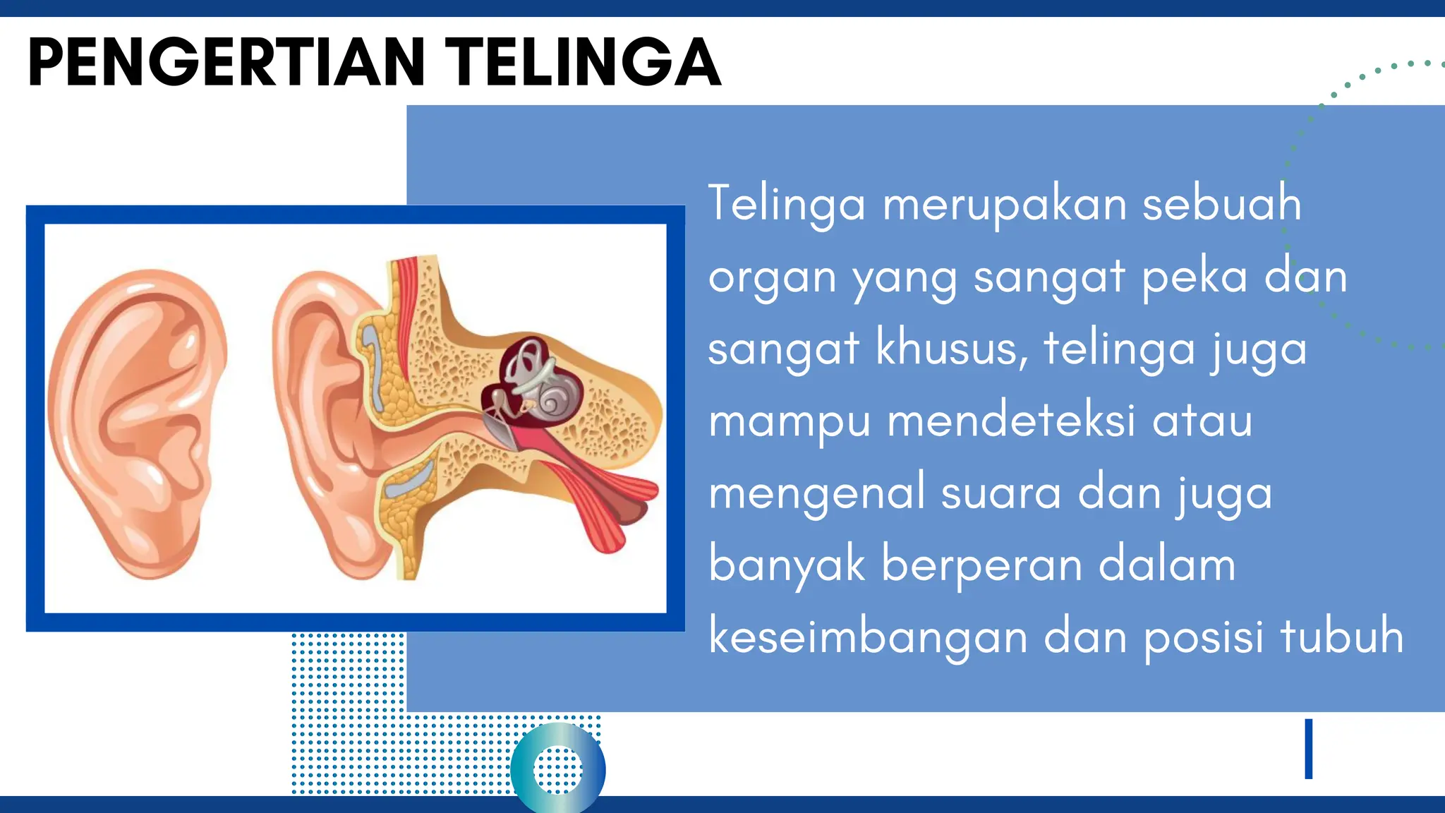 BIOLOGI KELOMPOK 3 INDRA PENDENGARAN.pdf