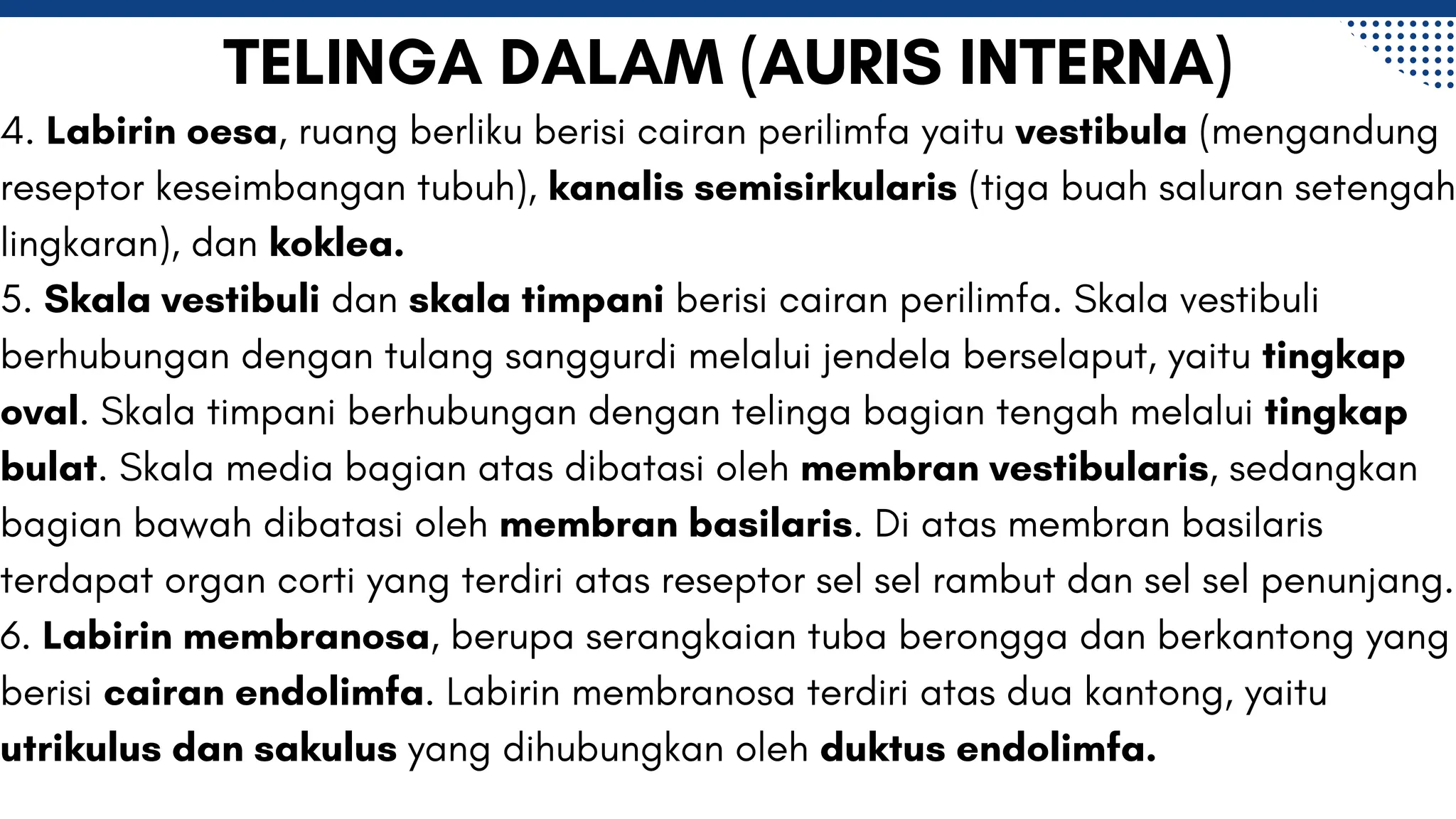 BIOLOGI KELOMPOK 3 INDRA PENDENGARAN.pdf