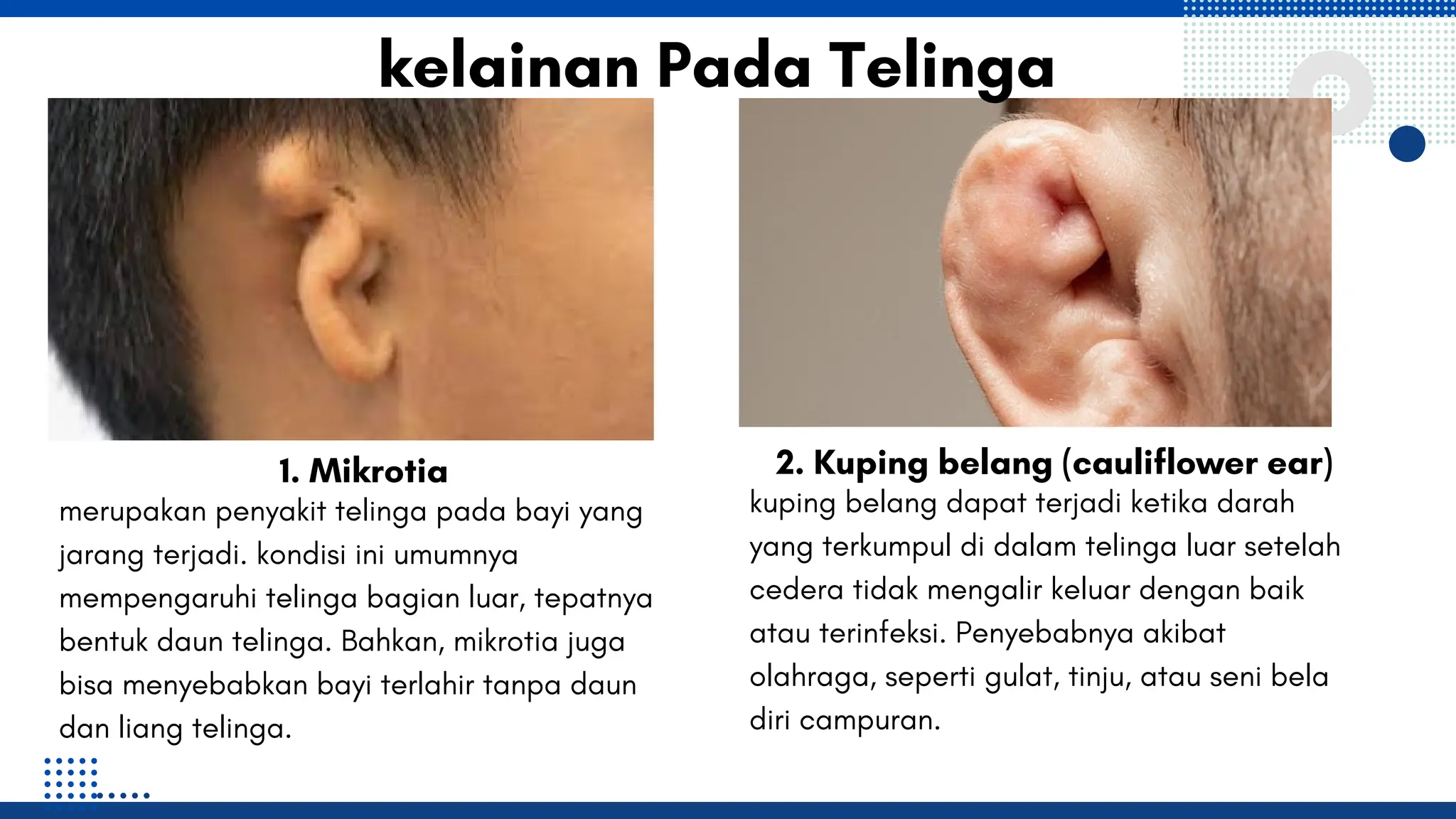 BIOLOGI KELOMPOK 3 INDRA PENDENGARAN.pdf