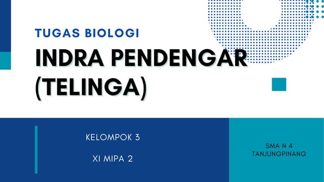 BIOLOGI KELOMPOK 3 INDRA PENDENGARAN.pdf