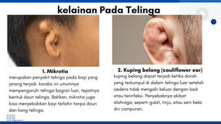 BIOLOGI KELOMPOK 3 INDRA PENDENGARAN.pdf