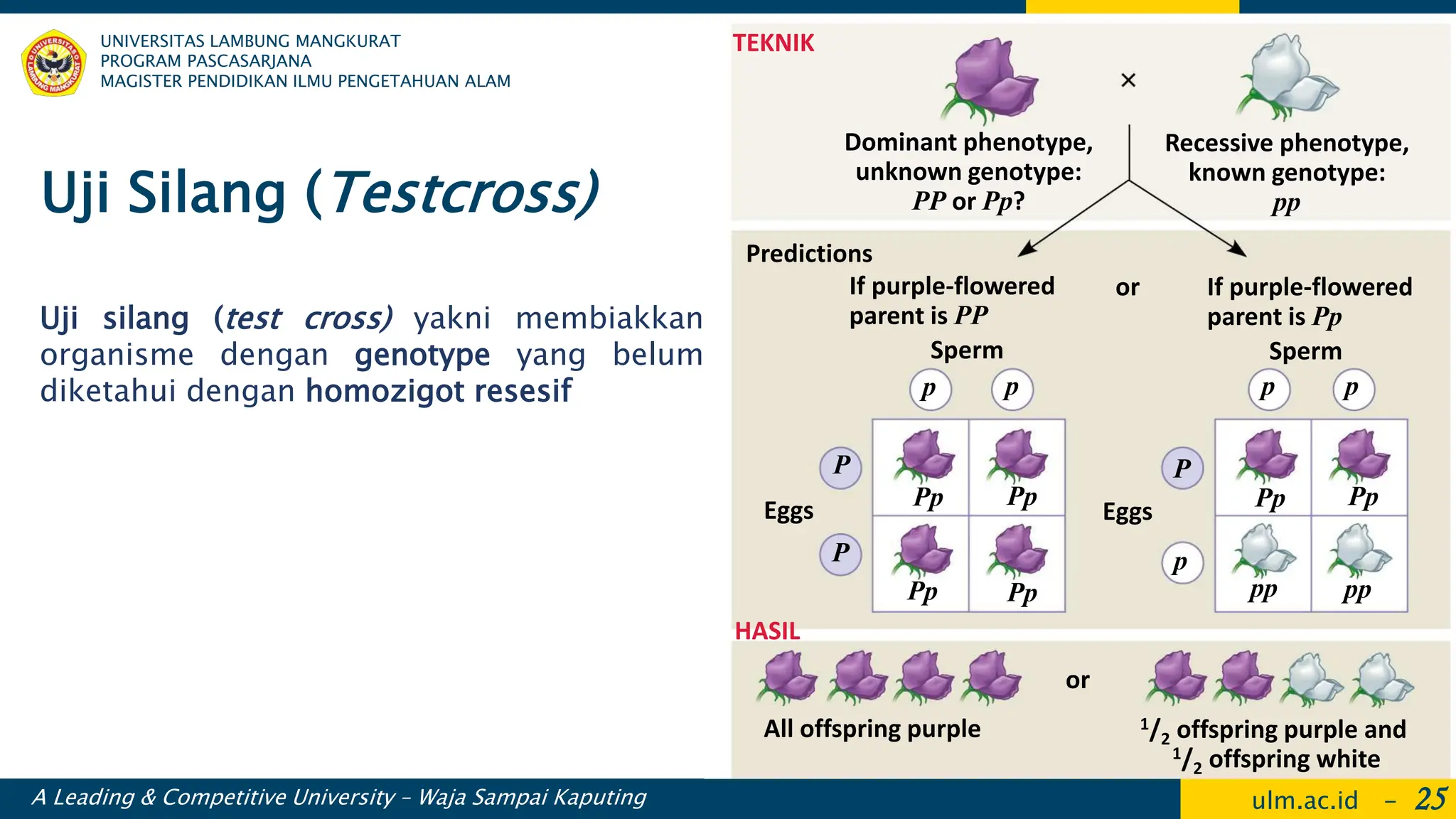 BIOLOGI_KELOMPOK_5 Genetika Klasik SEl.pptx