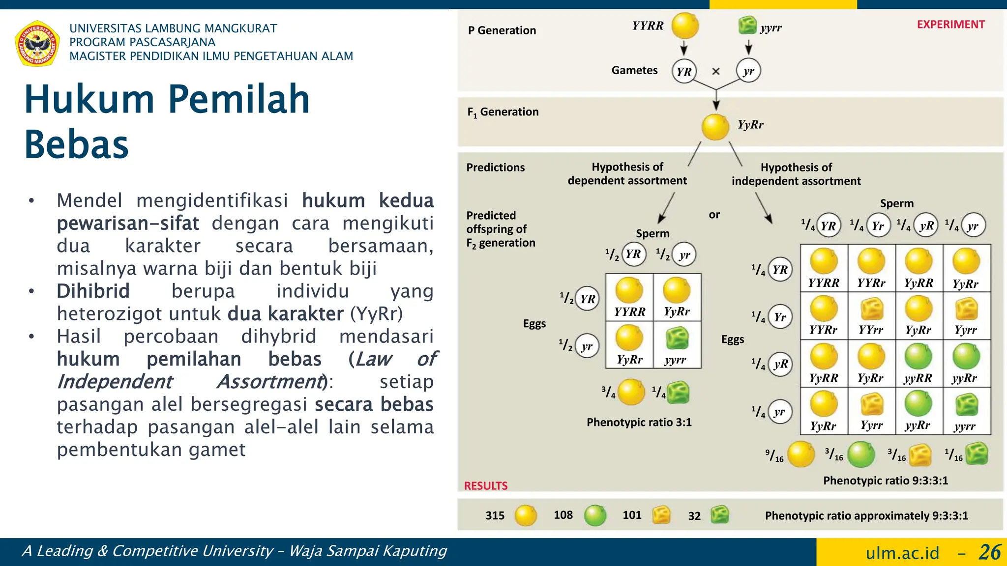 BIOLOGI_KELOMPOK_5 Genetika Klasik SEl.pptx