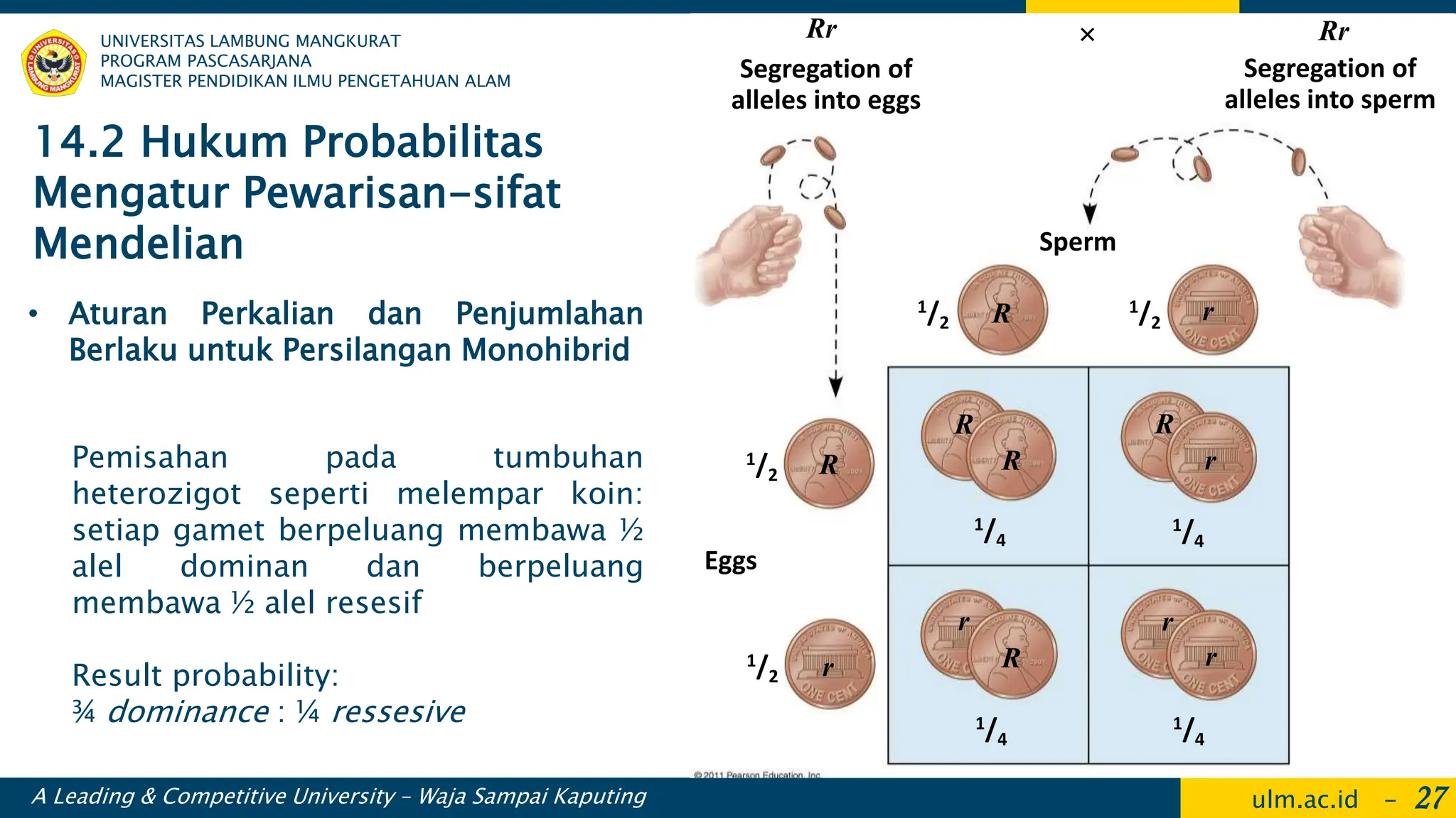 BIOLOGI_KELOMPOK_5 Genetika Klasik SEl.pptx