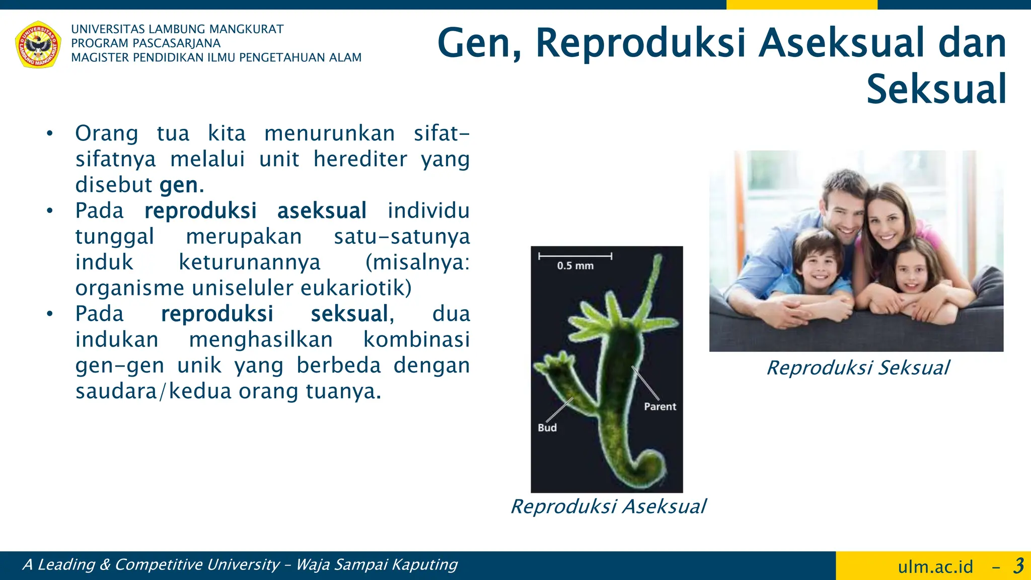 BIOLOGI_KELOMPOK_5 Genetika Klasik SEl.pptx