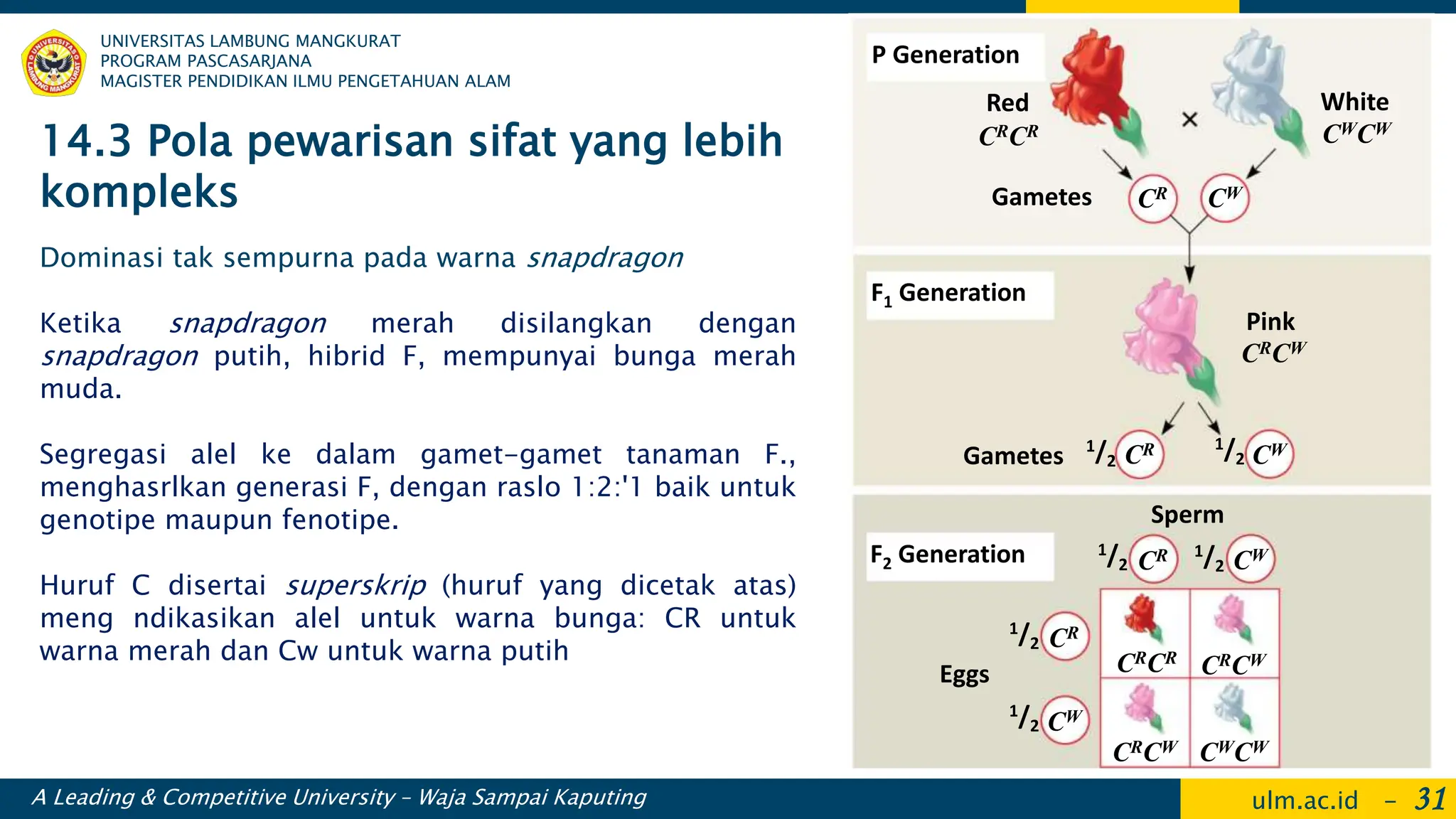 BIOLOGI_KELOMPOK_5 Genetika Klasik SEl.pptx