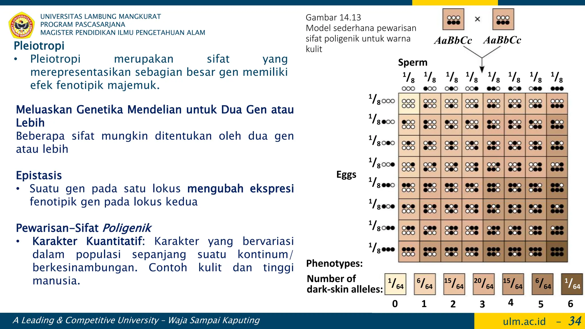 BIOLOGI_KELOMPOK_5 Genetika Klasik SEl.pptx